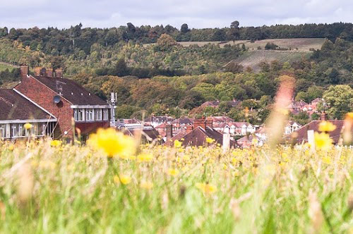 Enjoying Mole Valley's Open Spaces - Mole Valley District Council