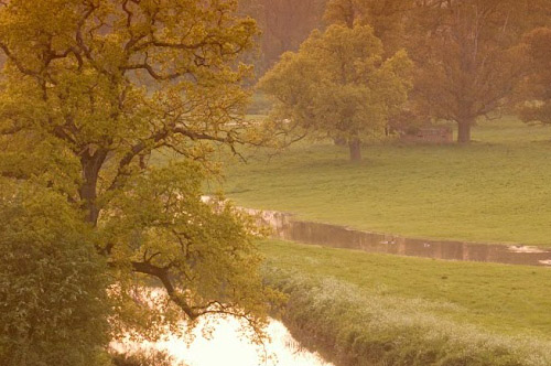 Enjoying Mole Valley's Open Spaces - Mole Valley District Council