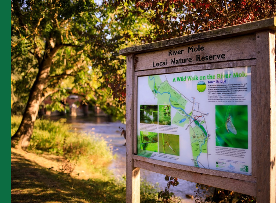 Council Strategy 2024 - 2028 - Mole Valley District Council